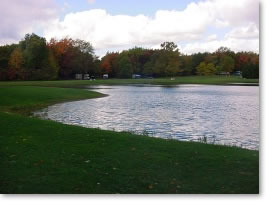 Sprague Brook | Parks, Recreation & Forestry