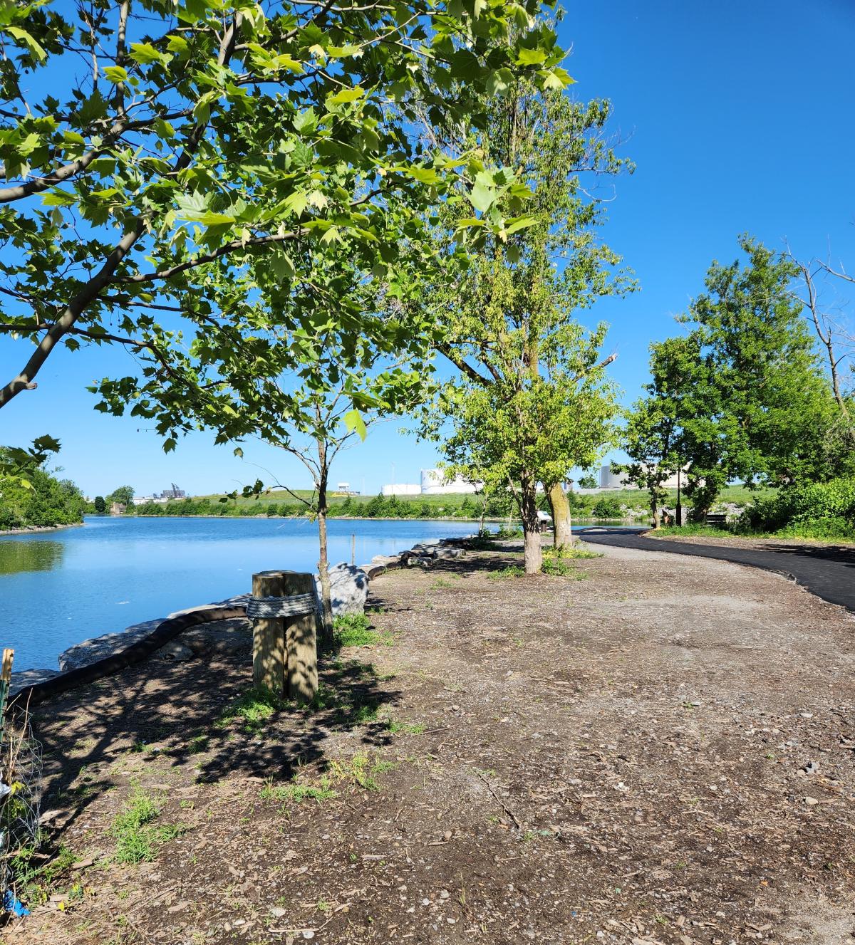 Thomas F. Higgins Natural Habitat Park (Bailey Peninsula) | Parks ...